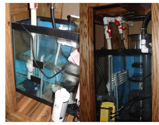 Aquarium Plumbing Basics - Reef Aquarium